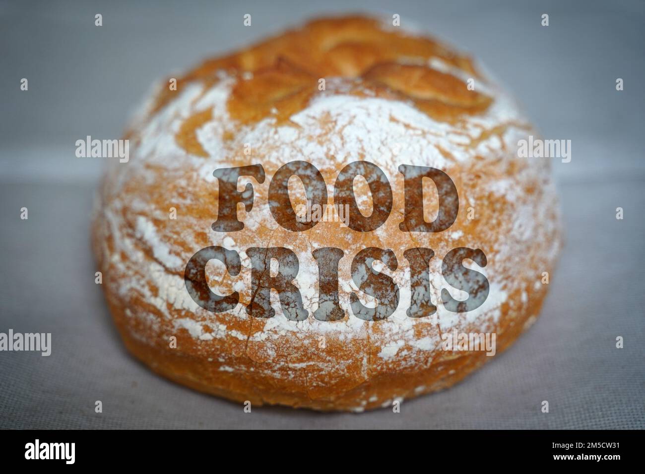 Food supply crisis. Problems with the supply of wheat and flour. Global ...