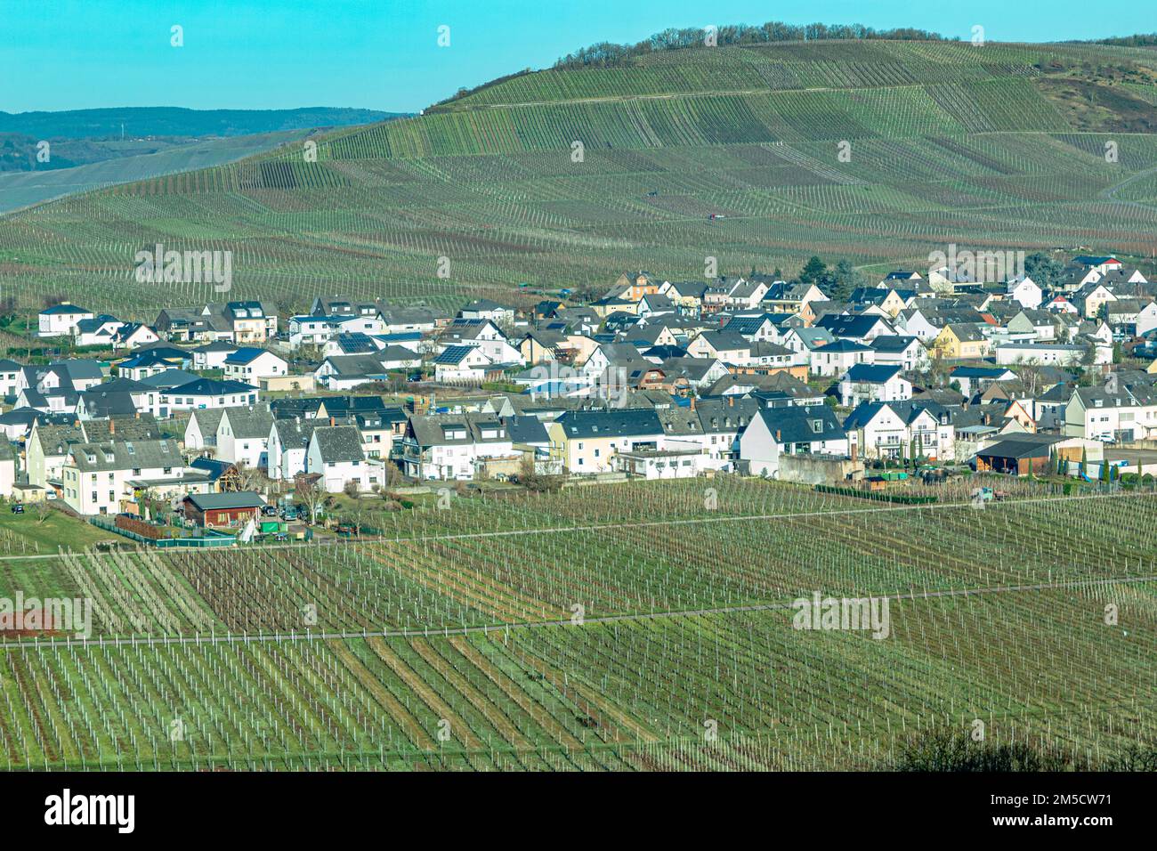 aerial view of village of Trittenheim at Moselle bend, Germany Stock ...