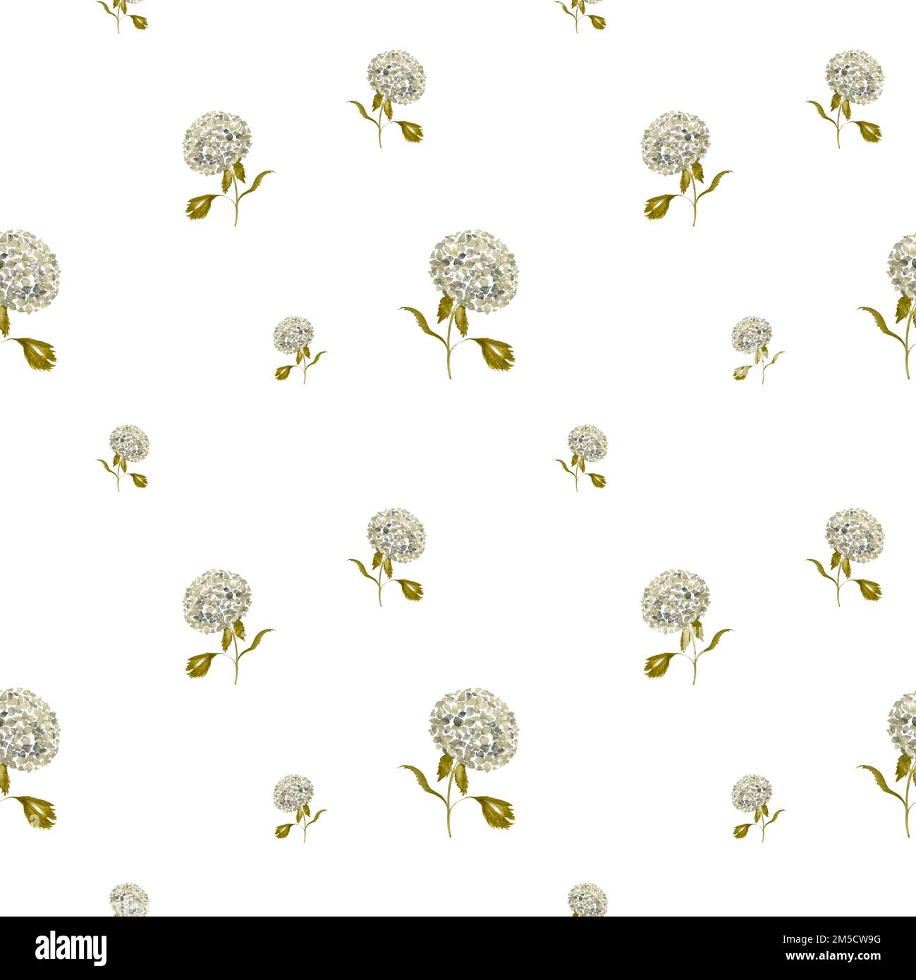 Hydrangea flower simple flora pattern a watercolor Stock Photo - Alamy