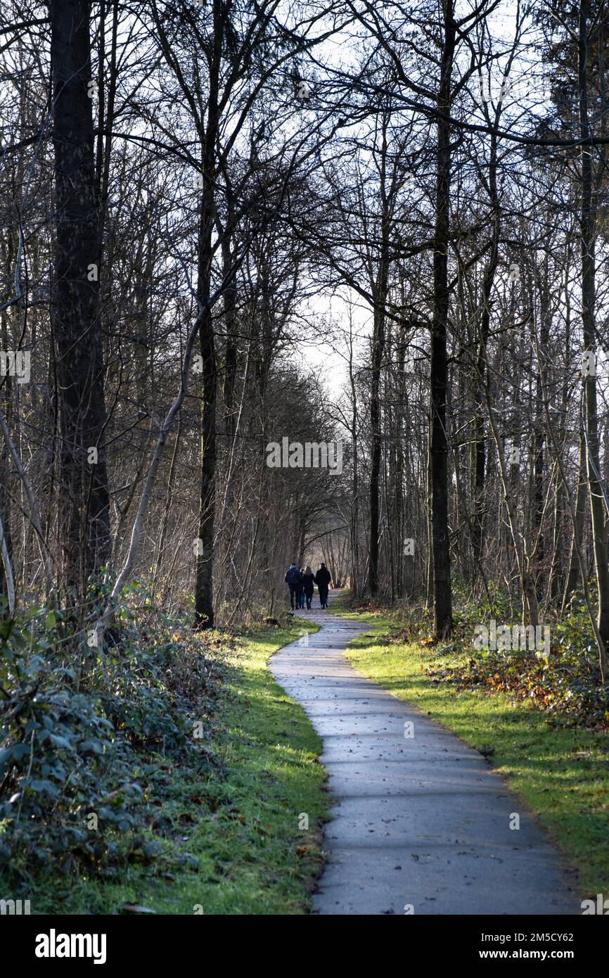 Group people walking through woods hi-res stock photography and images ...