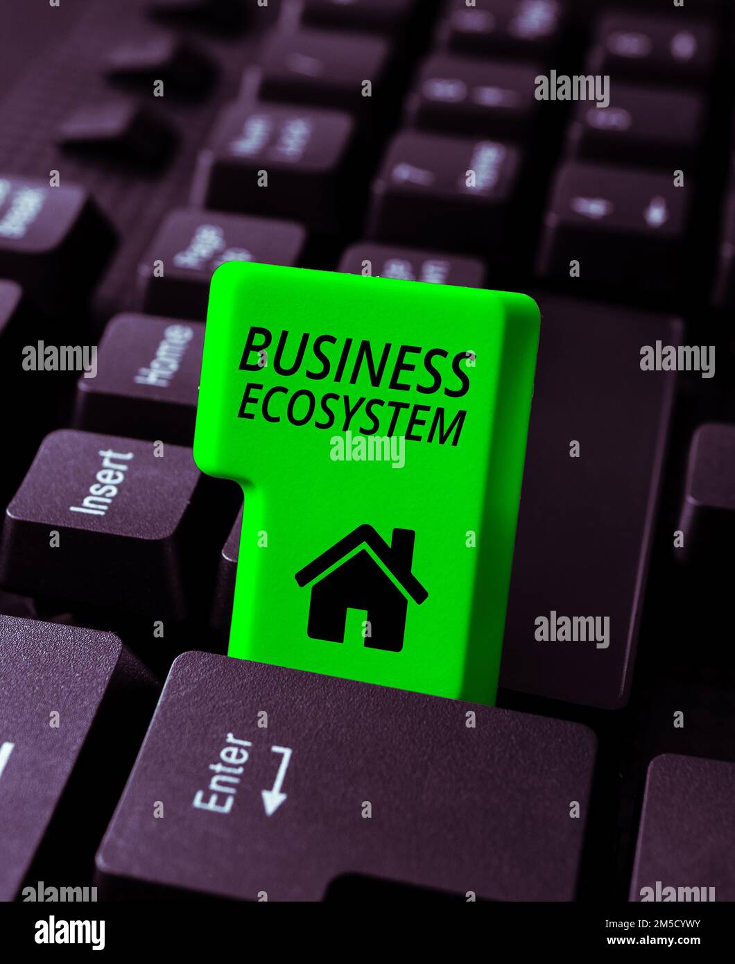 Writing displaying text Business Ecosystem. Business concept Develop ...