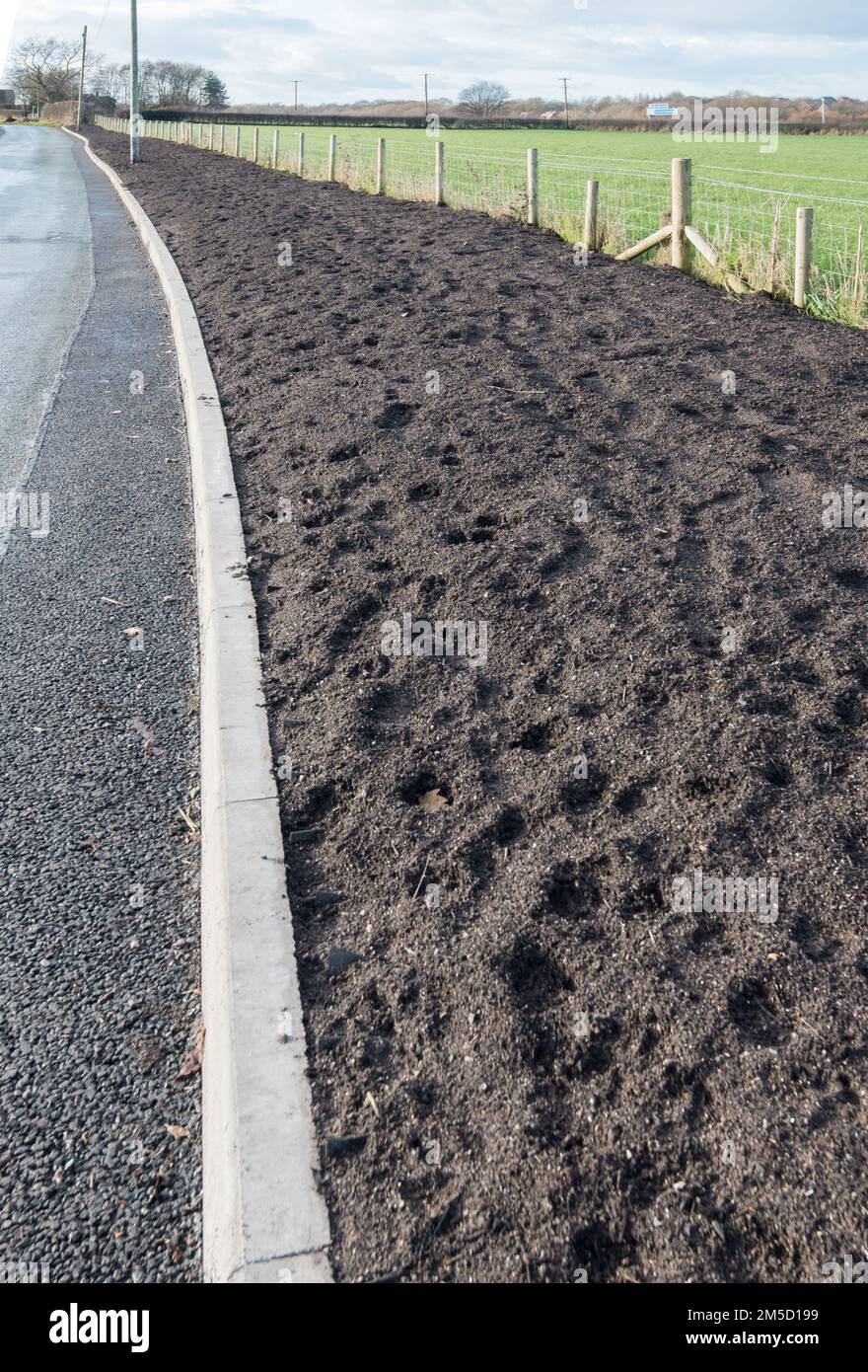 The controversial verge in Church Lane Sandbach where local authority ...