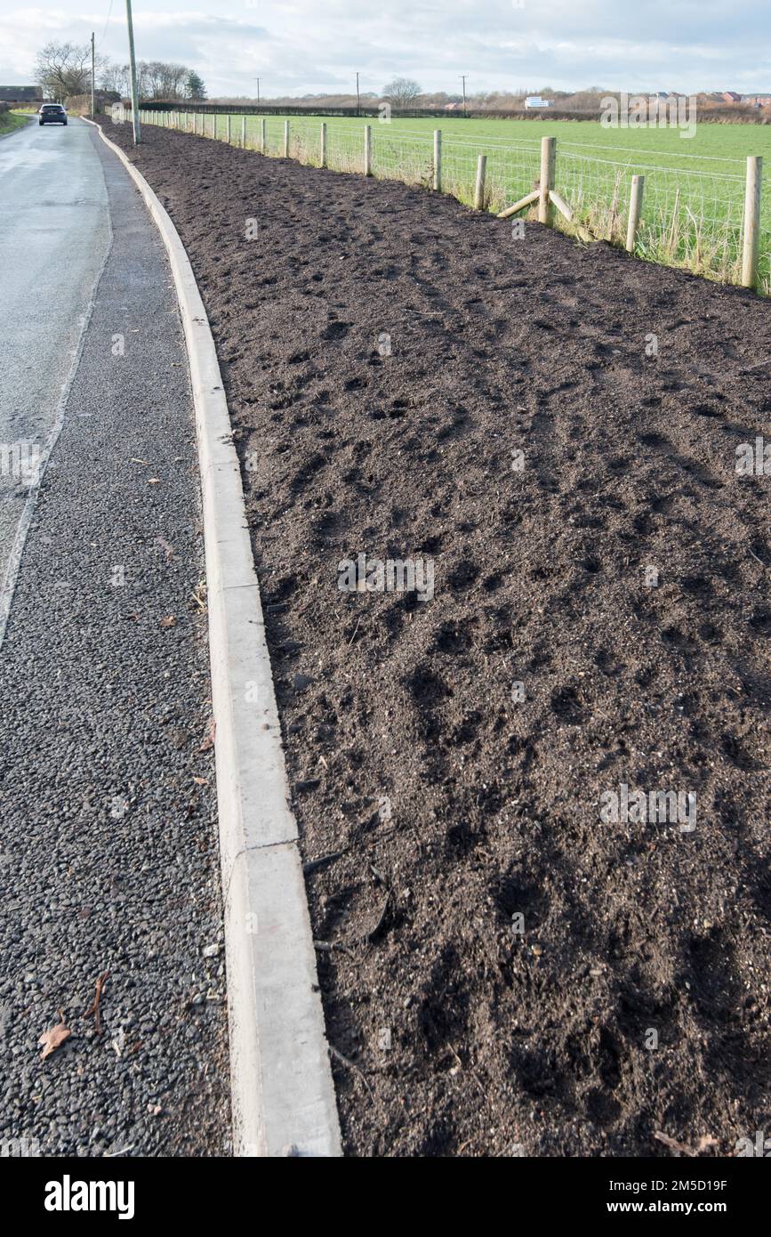 The controversial verge in Church Lane Sandbach where local authority ...