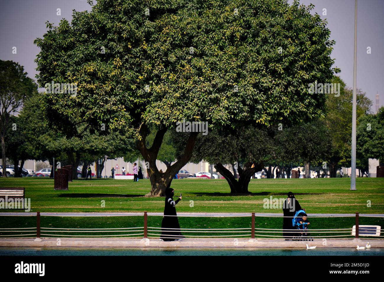 Aspire park doha hi-res stock photography and images - Alamy