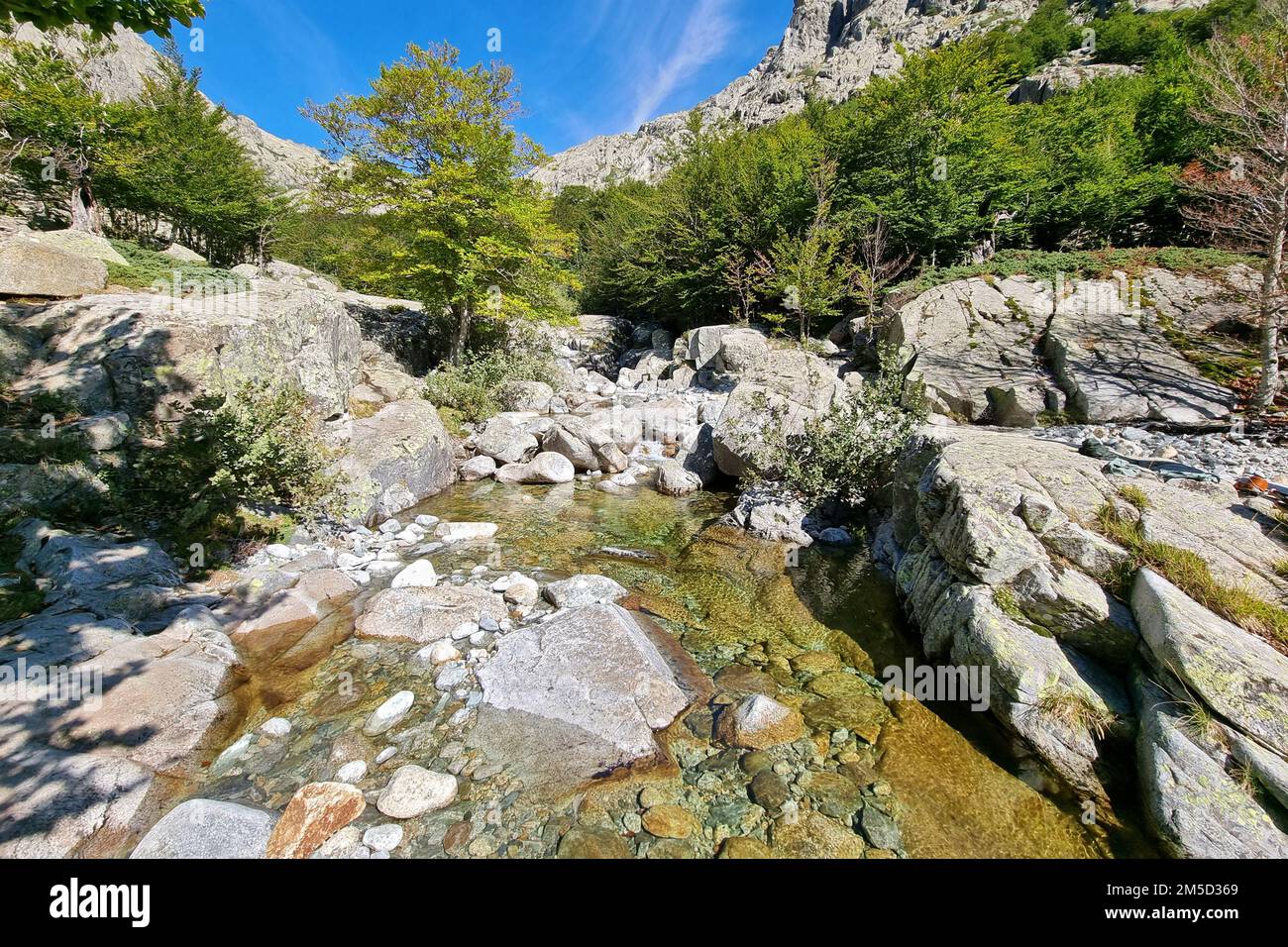 Clear Agnone stream near Vizzavona, GR20, Corsica, France Stock Photo ...