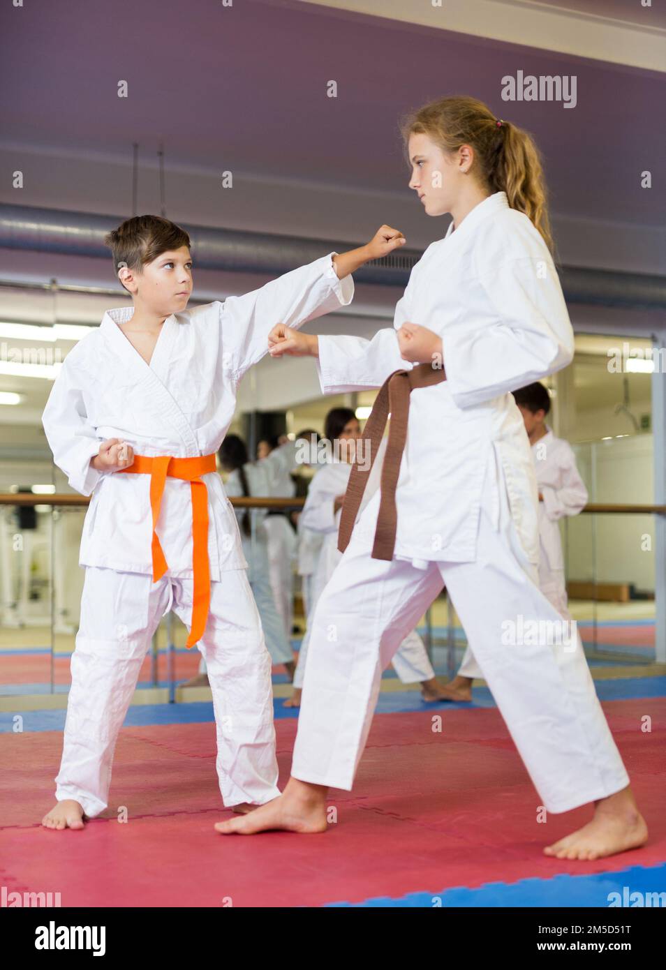 Karate kids training in gym Stock Photo - Alamy