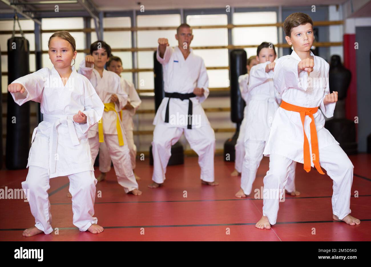 Schoolchilds practicing new technique in karate class Stock Photo - Alamy