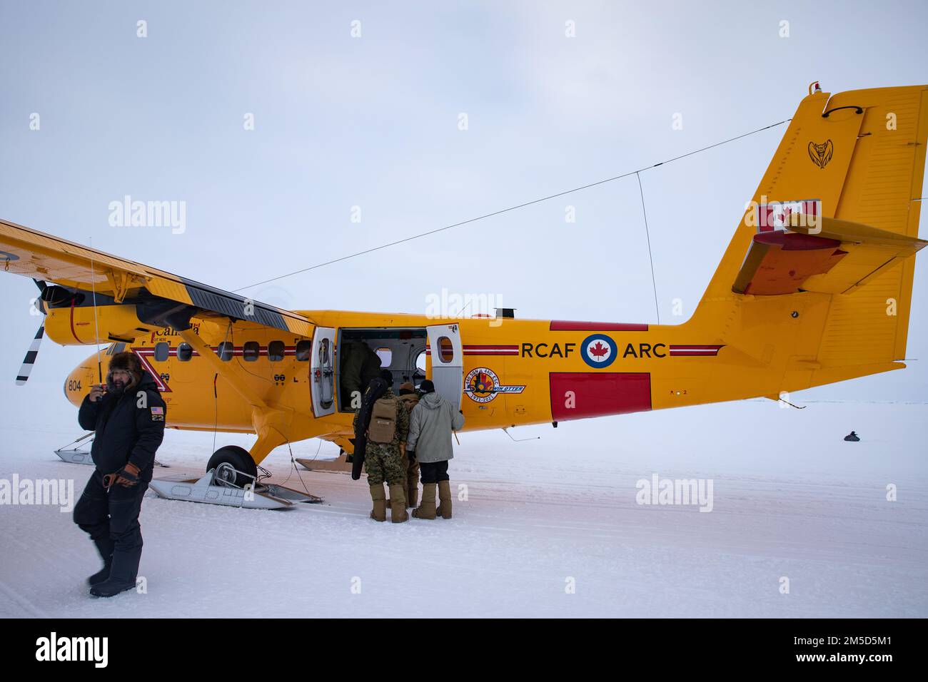 Royal marines in arctic hi-res stock photography and images - Alamy