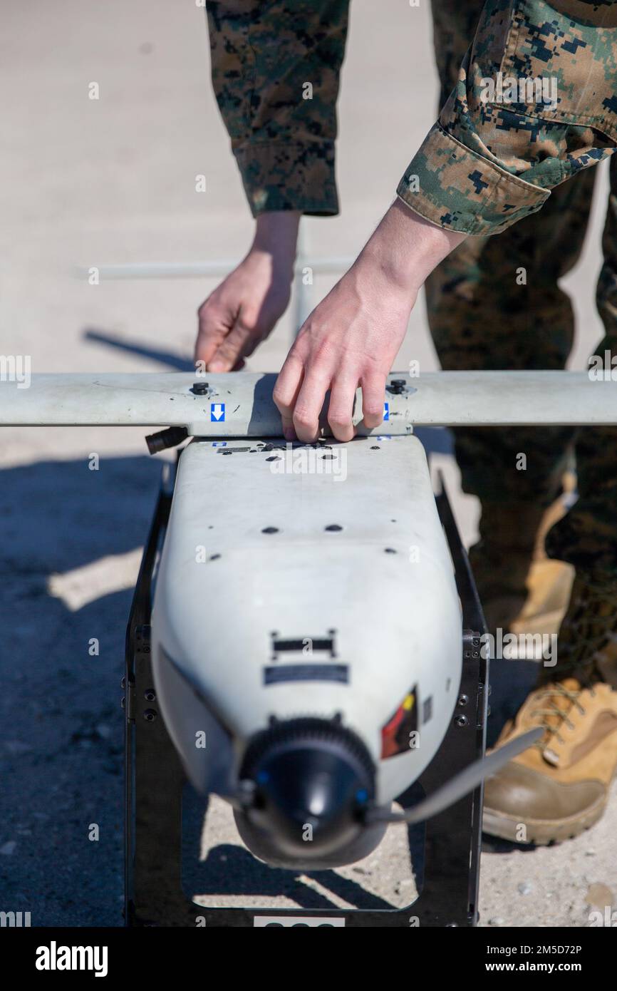 A U.S. Marine with 2d Light Armored Reconnaissance Battalion, 2d Marine ...