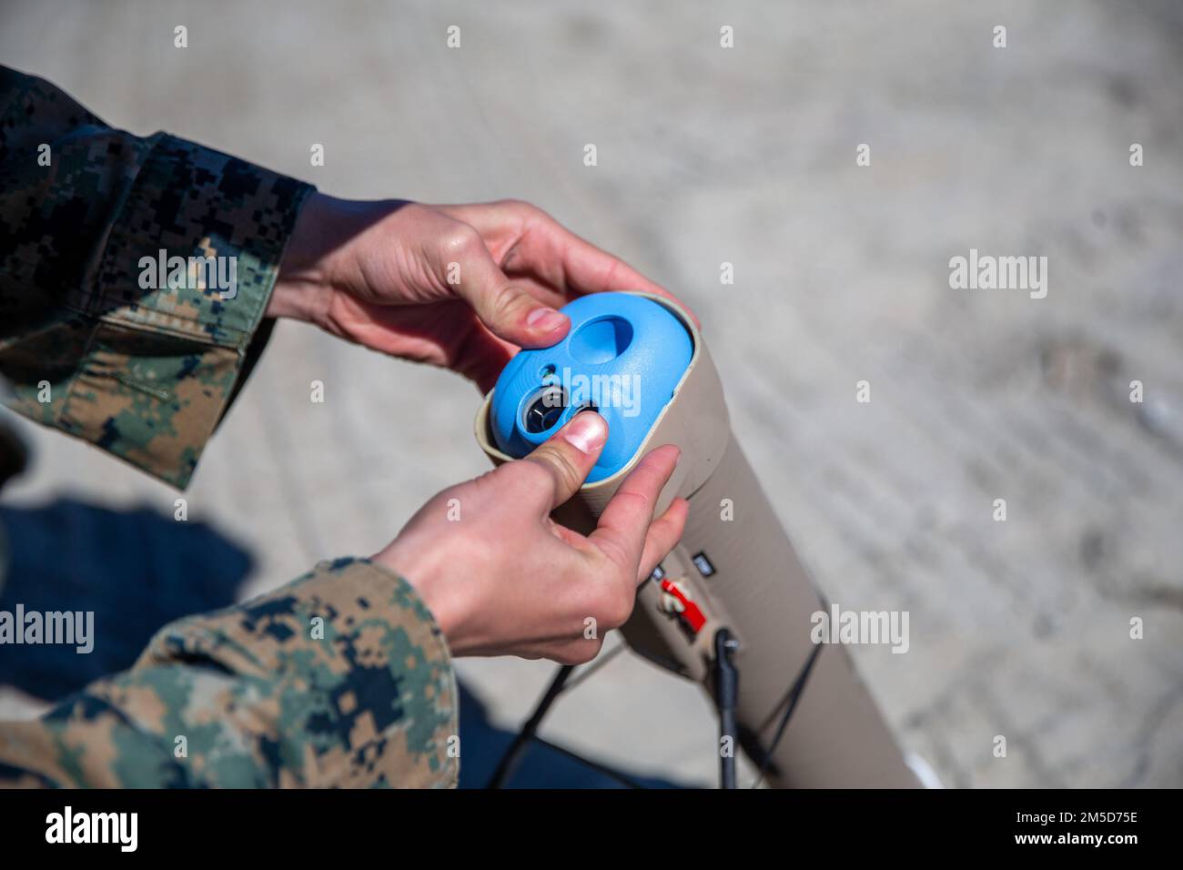 A U.S Marine with 2d Light Armored Reconnaissance Battalion, 2d Marine ...