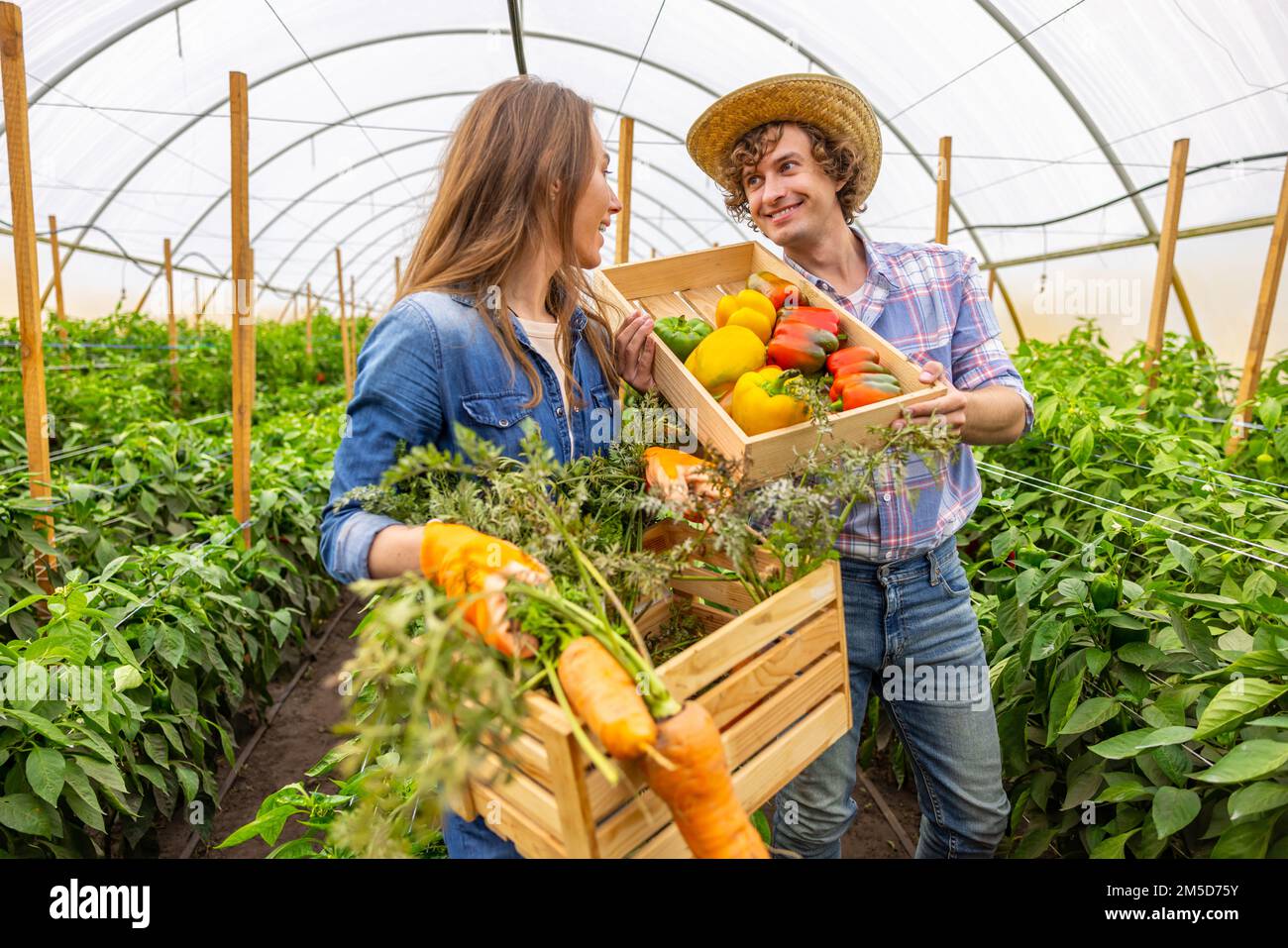 Cheerful couple of vegetable growers in a hothouse Stock Photo - Alamy