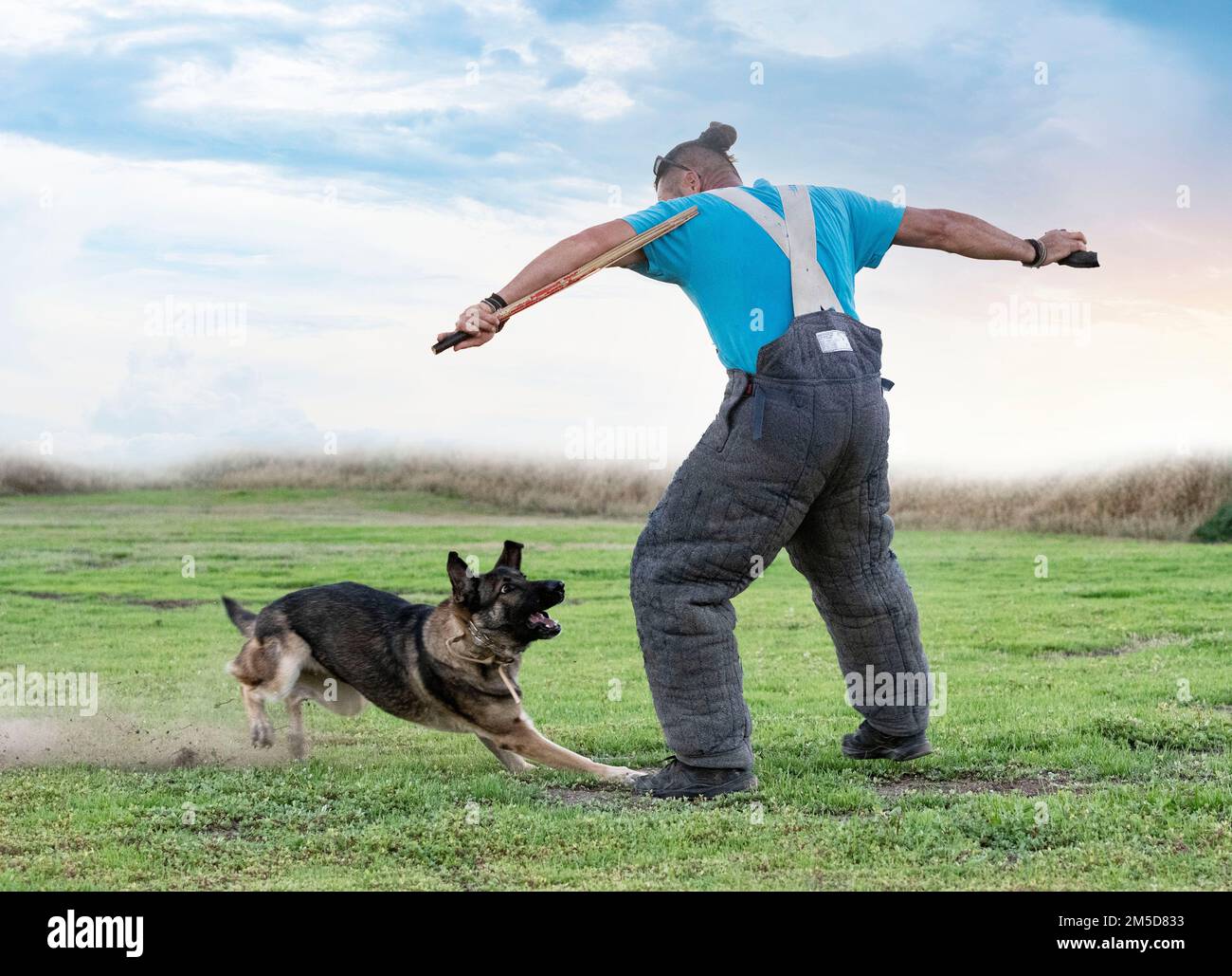 Little security guard hi-res stock photography and images - Alamy