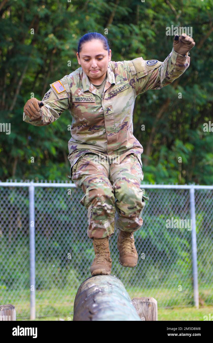 Logs obstacle course hi-res stock photography and images - Alamy