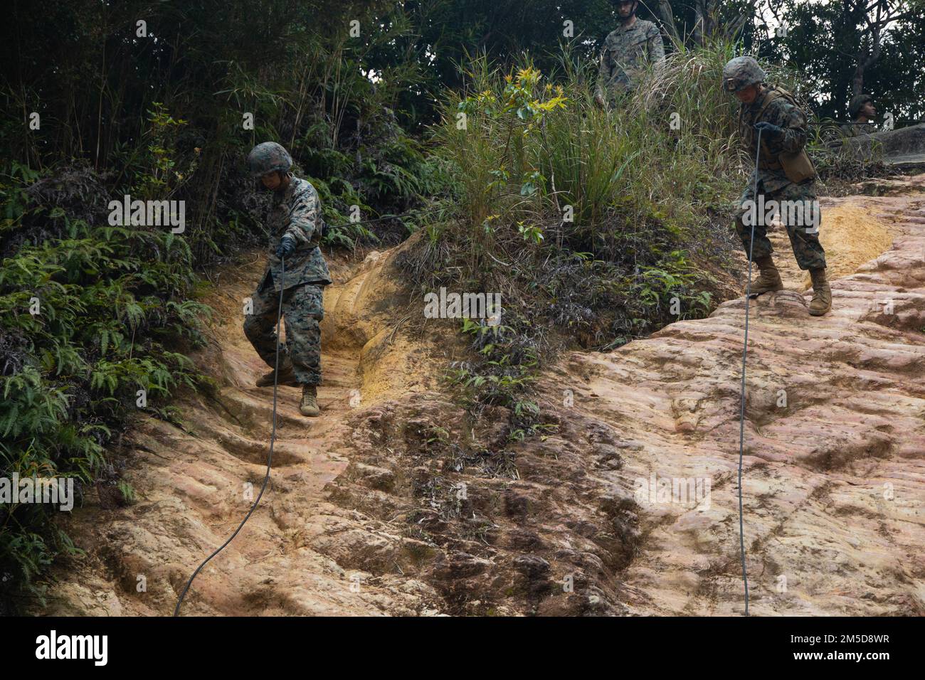 Camp gonsalves jungle warfare training center hi-res stock photography ...