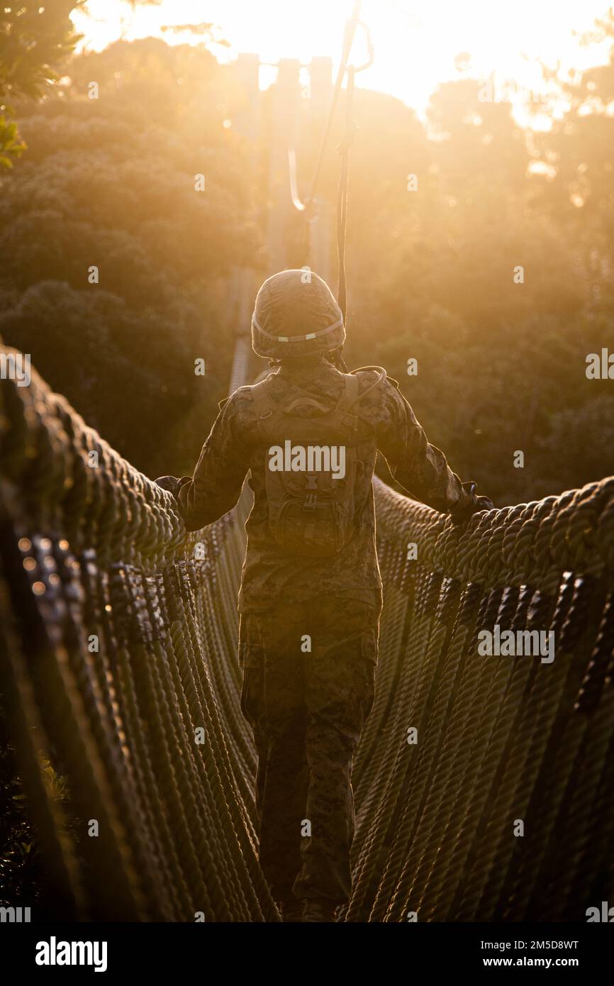 Sgt. Maj. Aaron Colling, III MIG Sgt. Major, III MEF Information Group ...