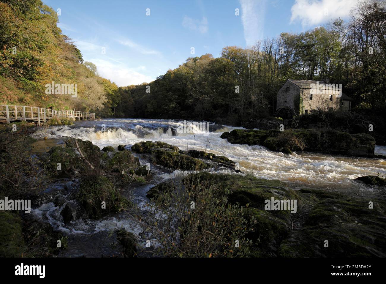 Cenarth Falls when the river is close to flooding. High water ...