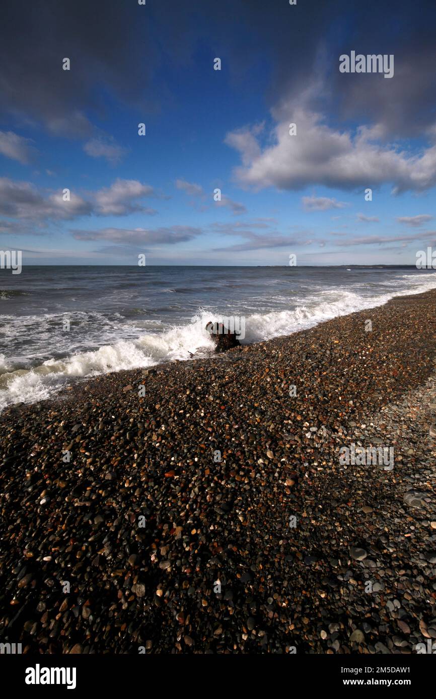 Dina dinlle hi-res stock photography and images - Alamy