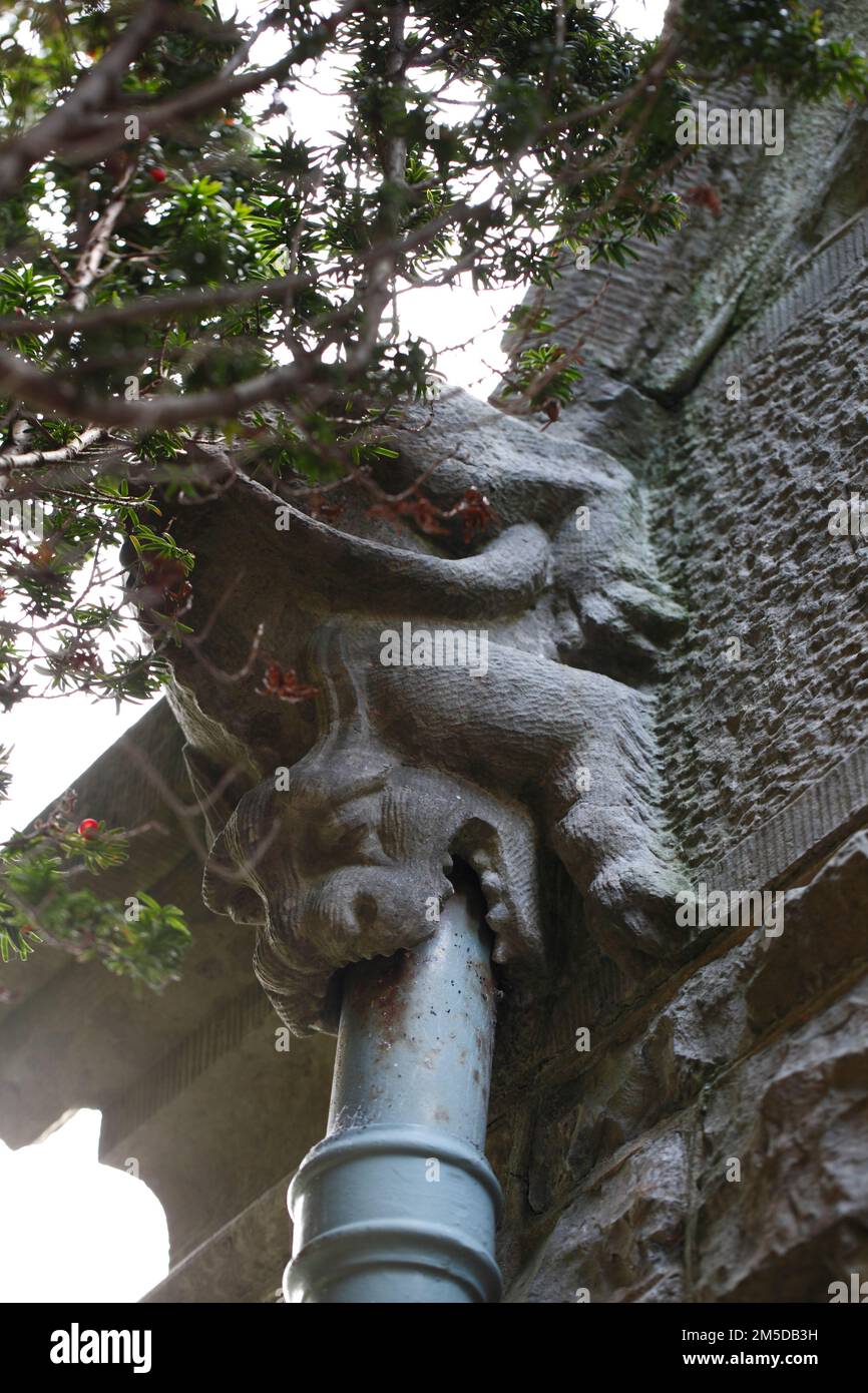 Stone Dragon, Rainwater discharge carved gothic style gargoyle, linking ...