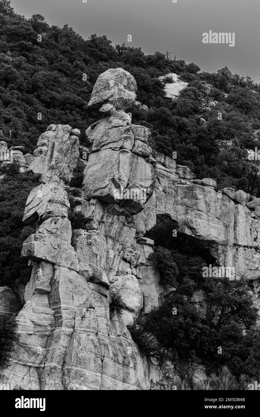 A vertical grayscale shot of beautiful stone formations in the Arizona ...