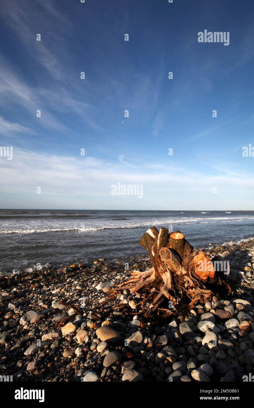 Dina dinlle hi-res stock photography and images - Alamy