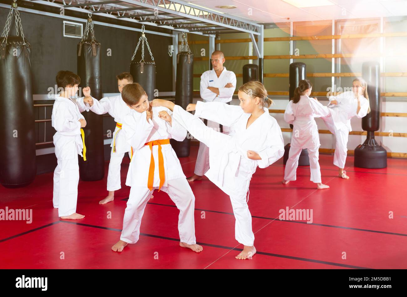 Kids working in pair, mastering kicks in karate class Stock Photo - Alamy