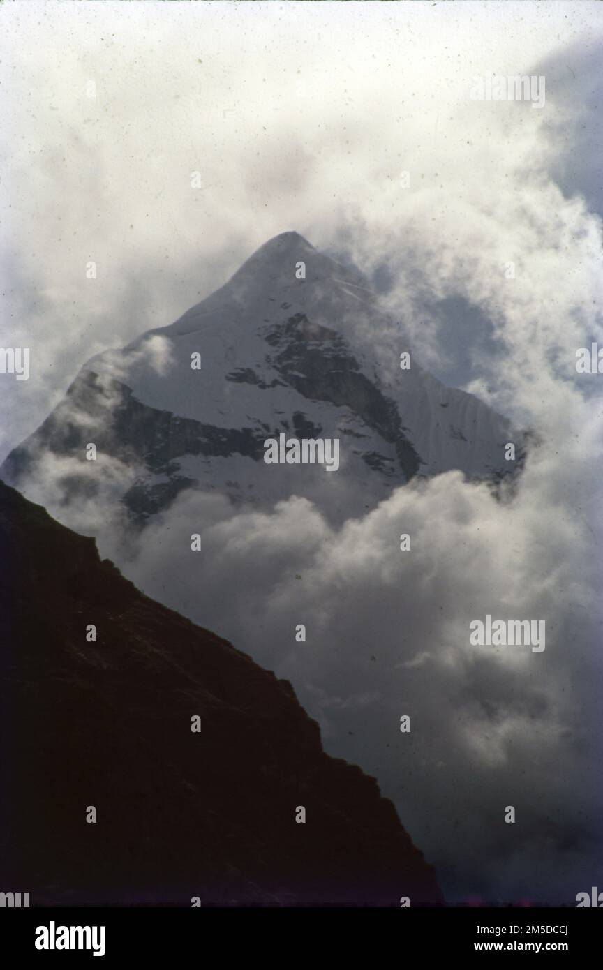 Snow peaks of Neelkanth and Narayan mountains in Badrinath, Uttarakhand ...