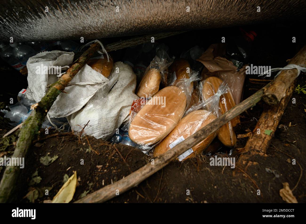 Food storage in forest conditions, a trench in the ground as a ...