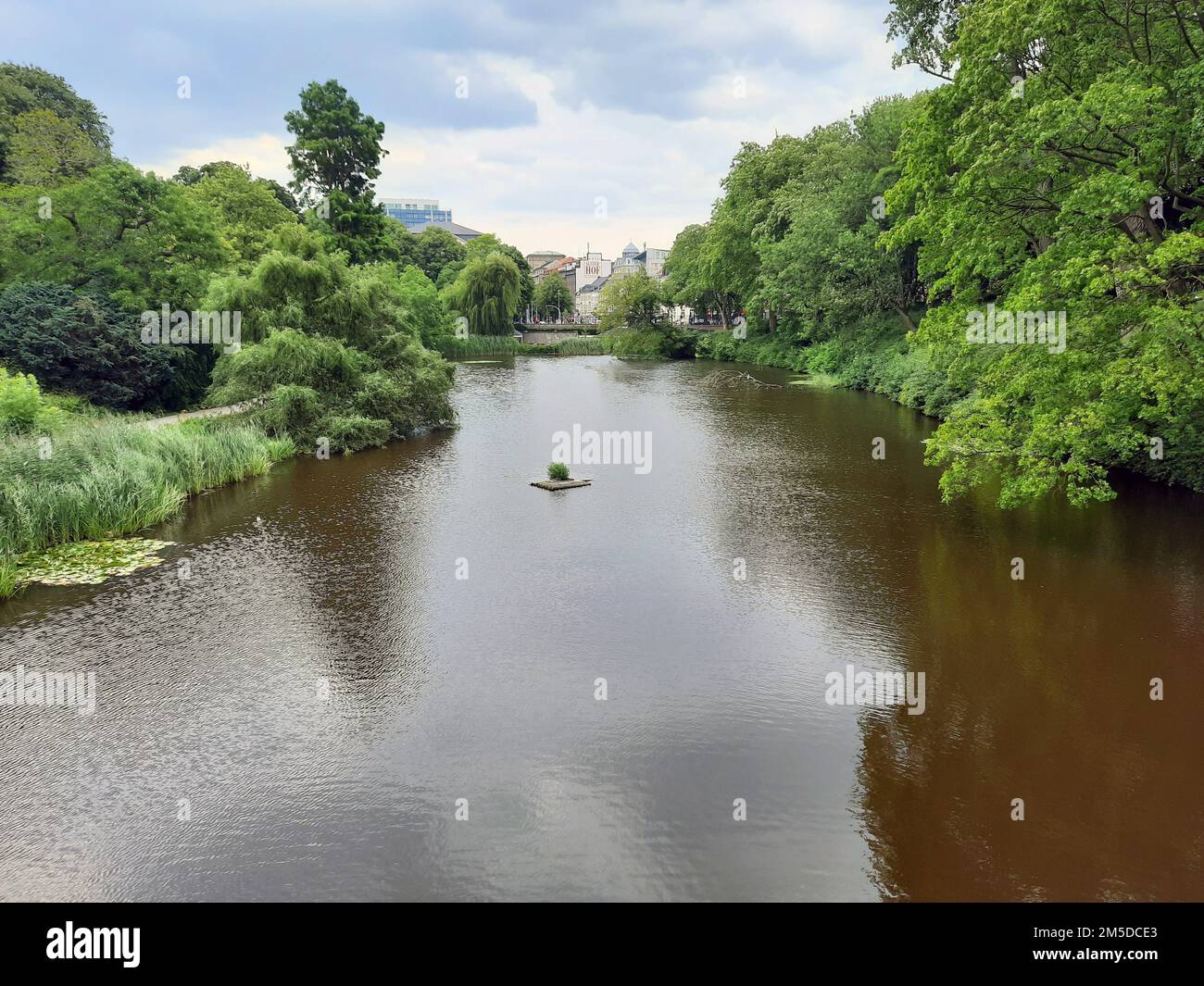 River among trees hi-res stock photography and images - Alamy