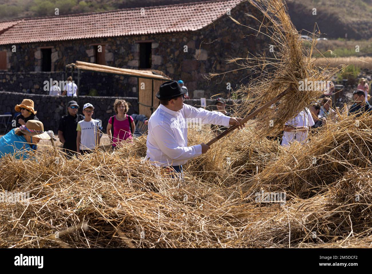 Men and women tossing the harvested corn on the threshing circle in ...