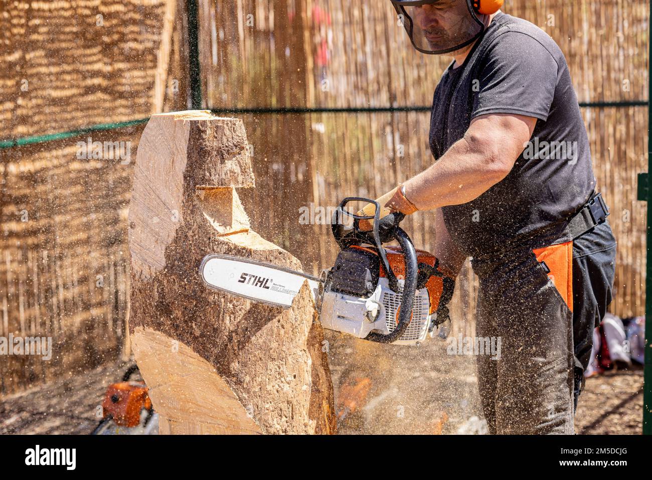 Chainsaw sculptor, artist at work sculpting an eagle from a tree trunk ...