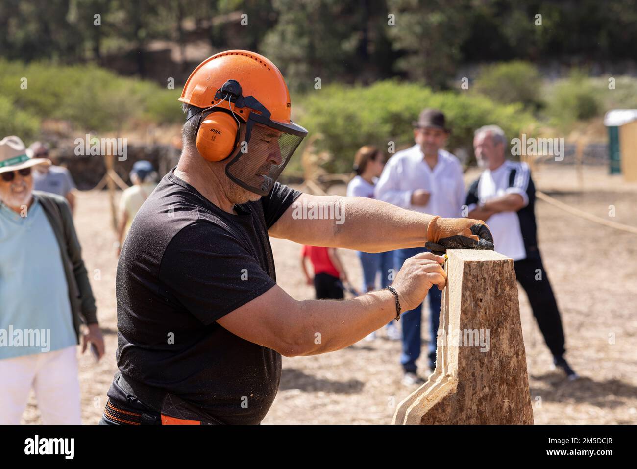 Chainsaw sculptor, artist at work sculpting an eagle from a tree trunk ...