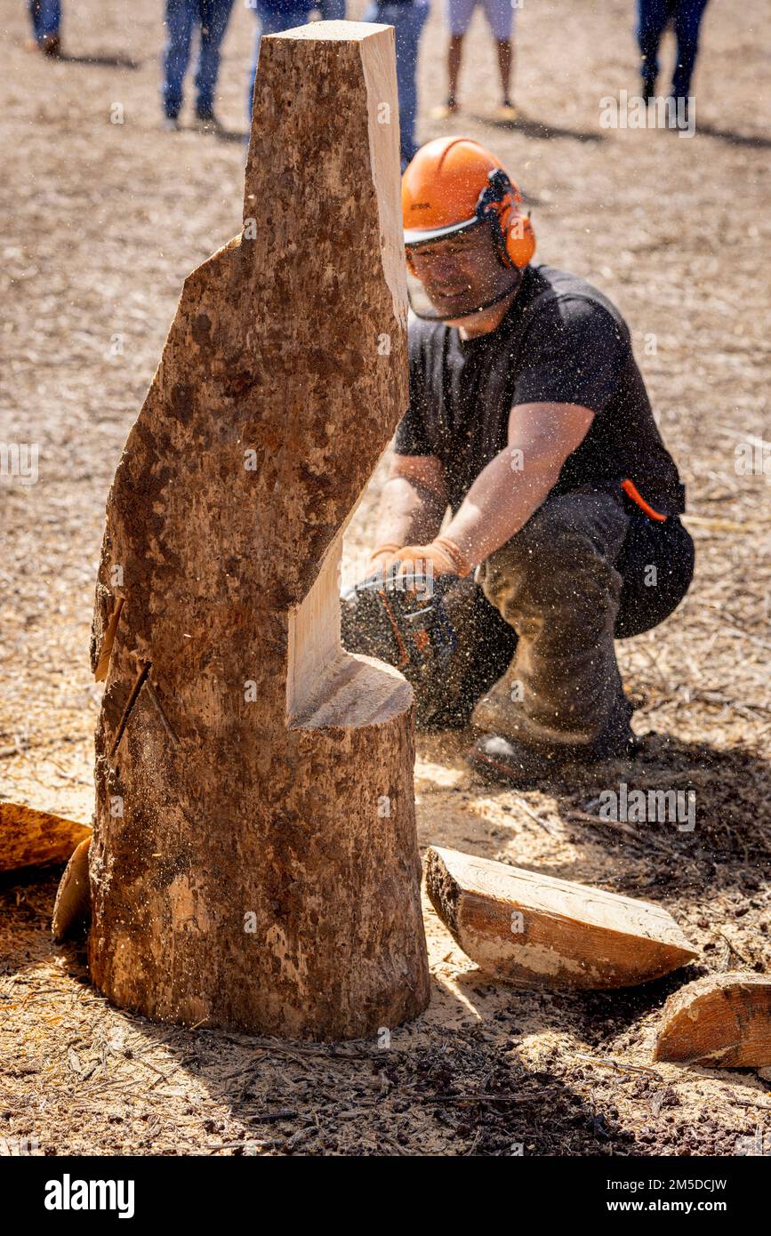Chainsaw sculptor, artist at work sculpting an eagle from a tree trunk ...