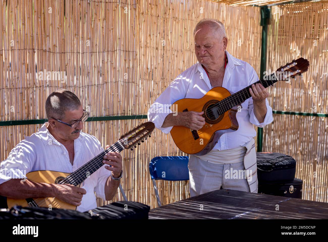 Musicians with a folkloric group tune up before performing at the ...