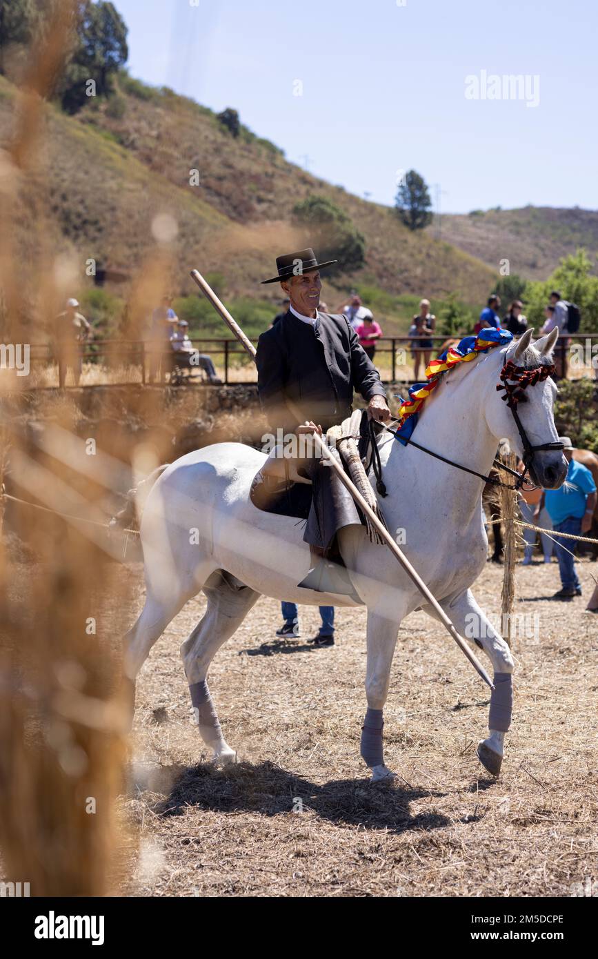 Andalucian horseman giving a display of traditional horsemanship and ...