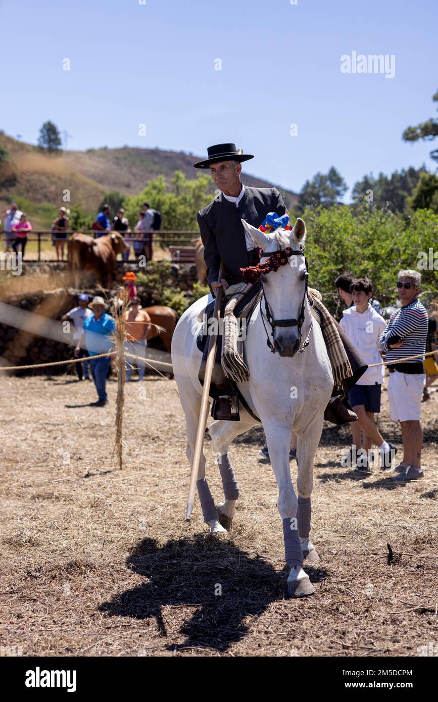 Andalucian horseman giving a display of traditional horsemanship and ...