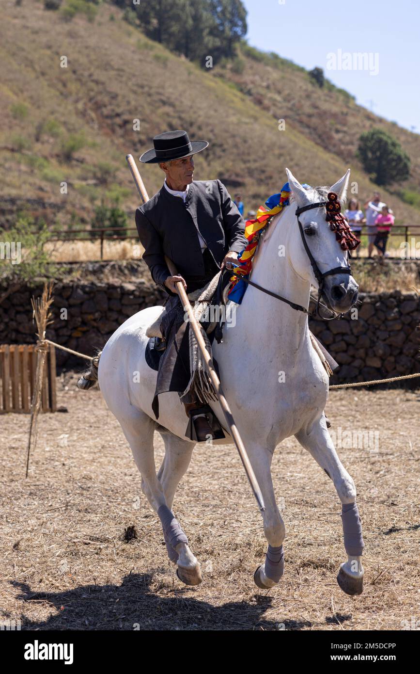 Andalucian horseman giving a display of traditional horsemanship and ...