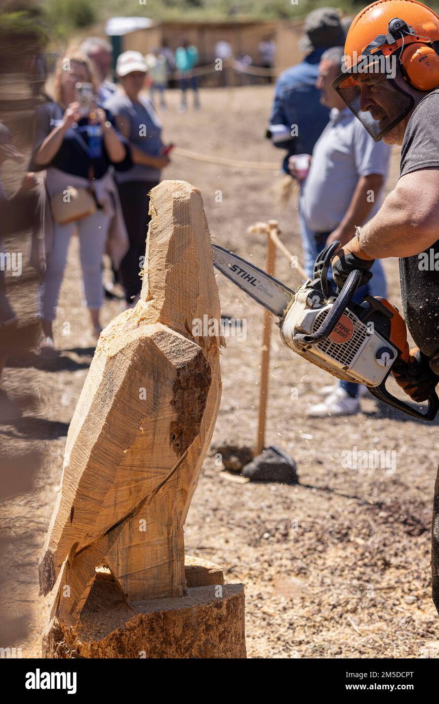Chainsaw sculptor, artist at work sculpting an eagle from a tree trunk ...
