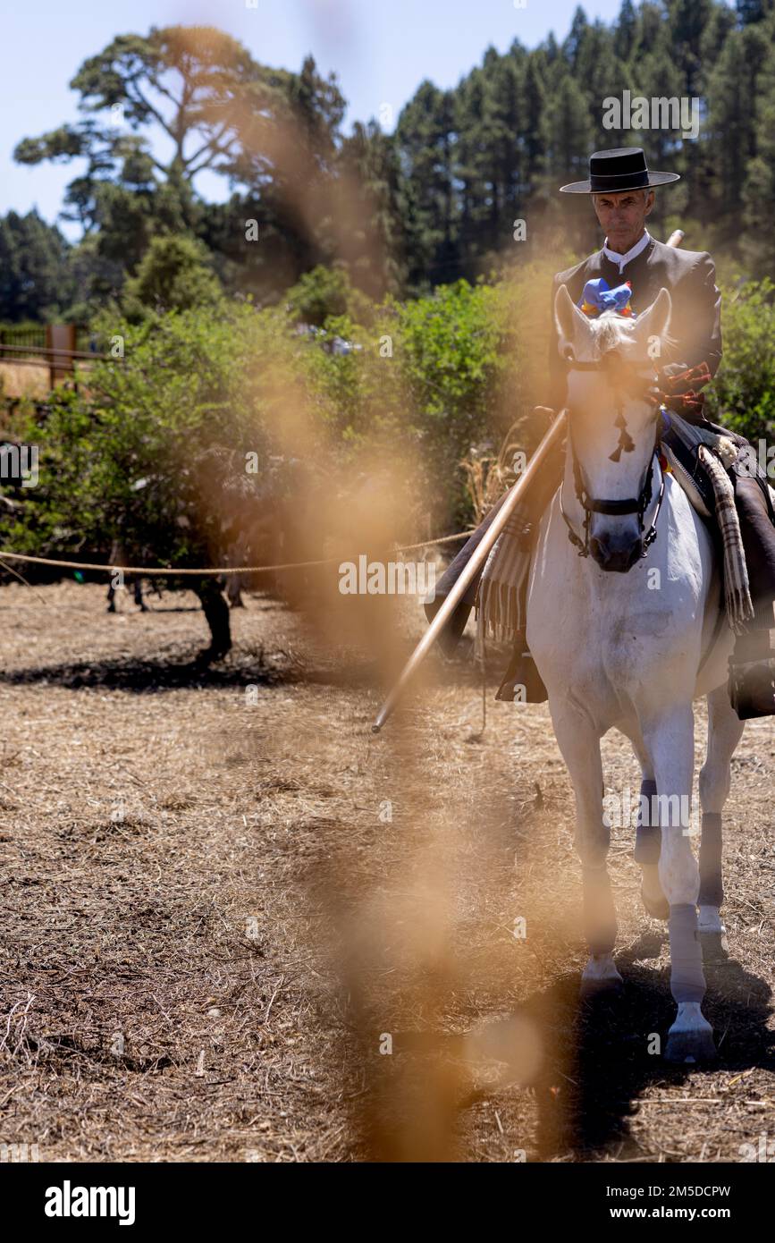 Andalucian horseman giving a display of traditional horsemanship and ...