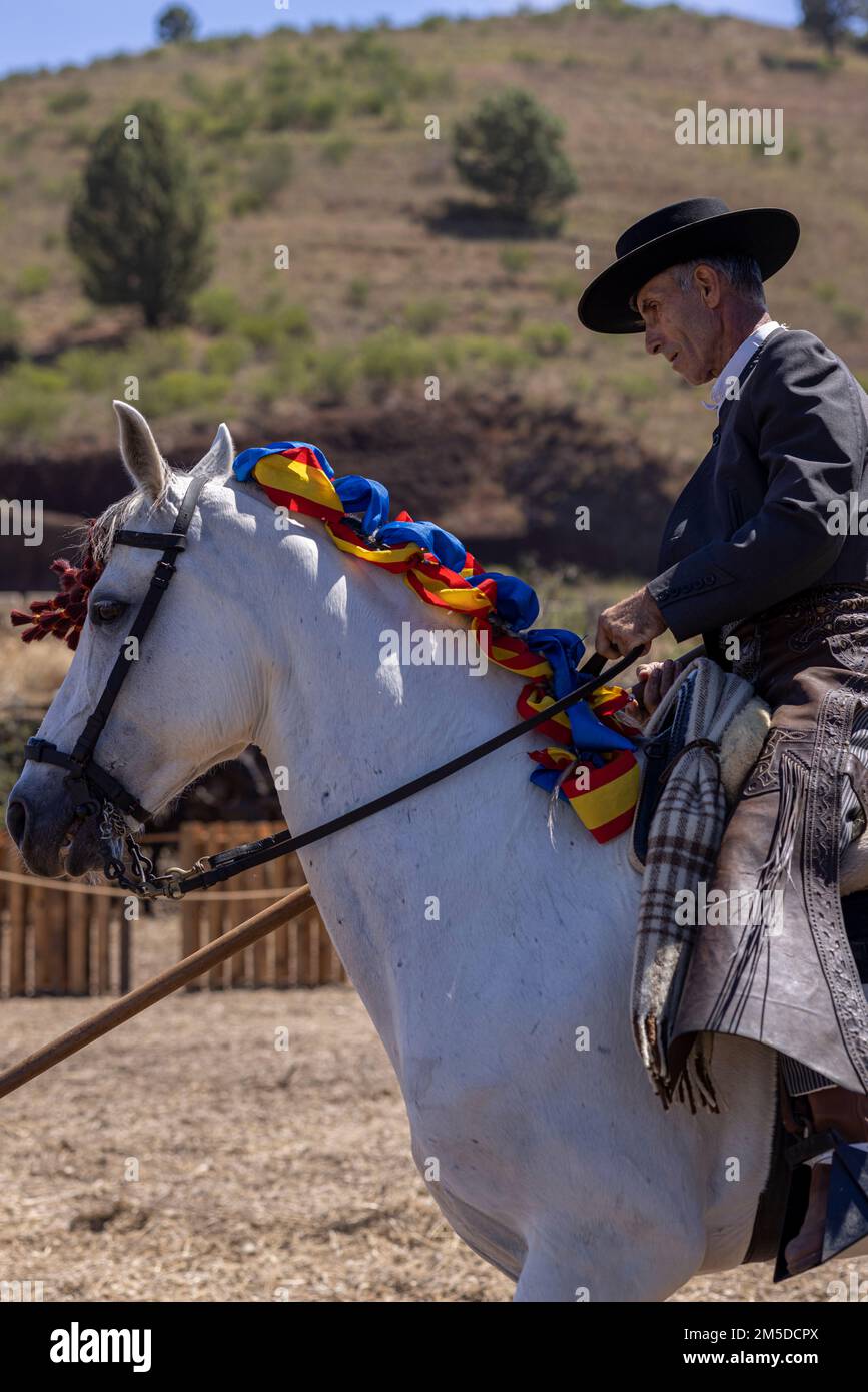 Andalucian horseman giving a display of traditional horsemanship and ...