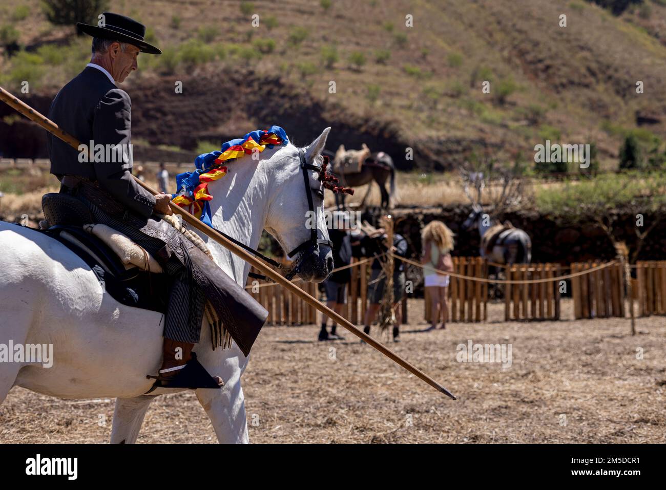 Andalucian horseman giving a display of traditional horsemanship and ...