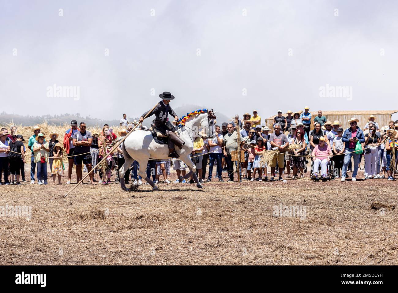 Andalucian horseman giving a display of traditional horsemanship and ...
