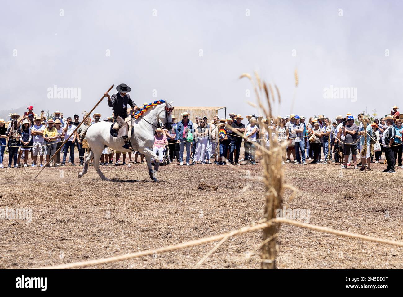 Andalucian horseman giving a display of traditional horsemanship and ...