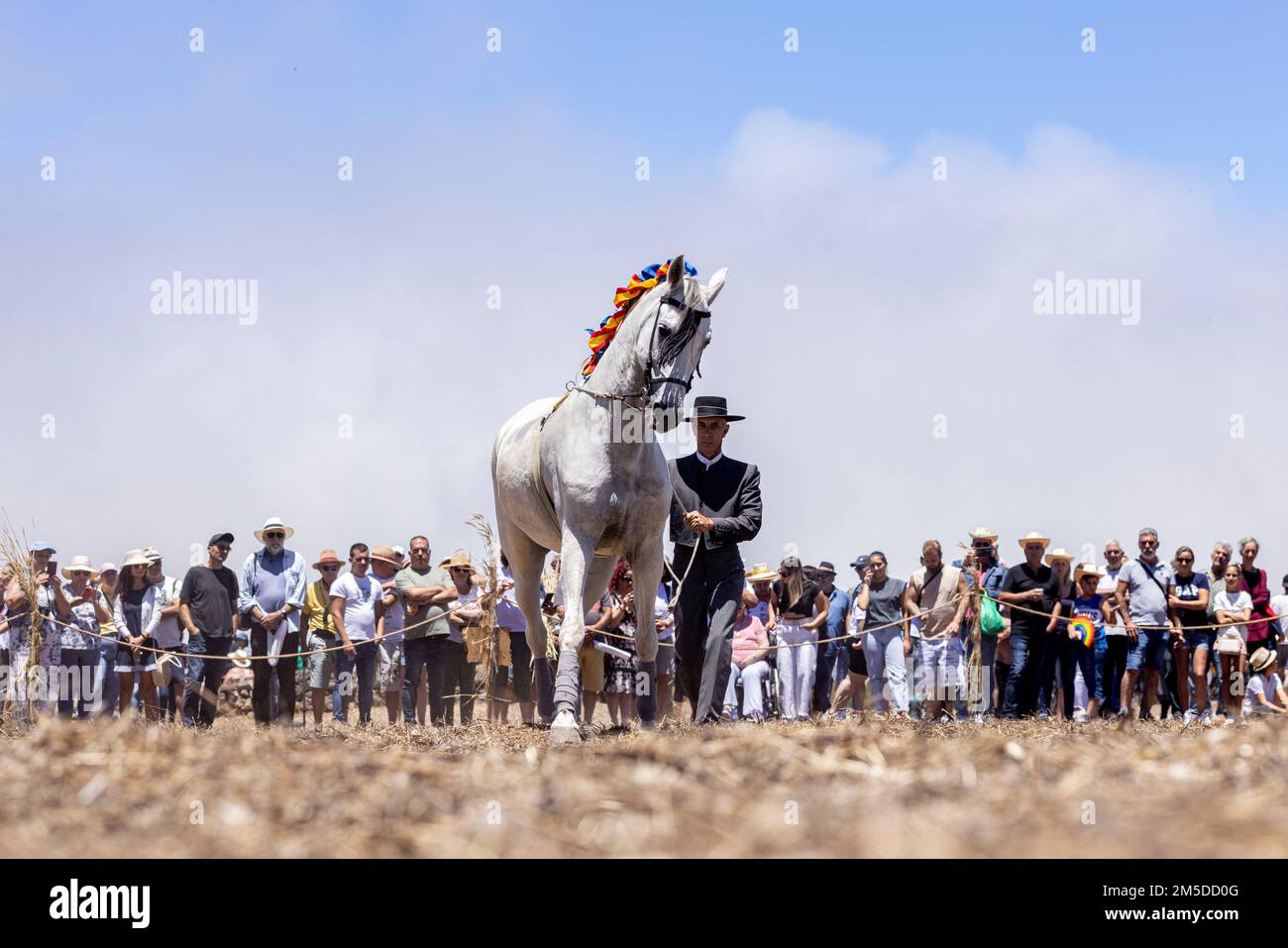 Andalucian horseman giving a display of traditional horsemanship and ...