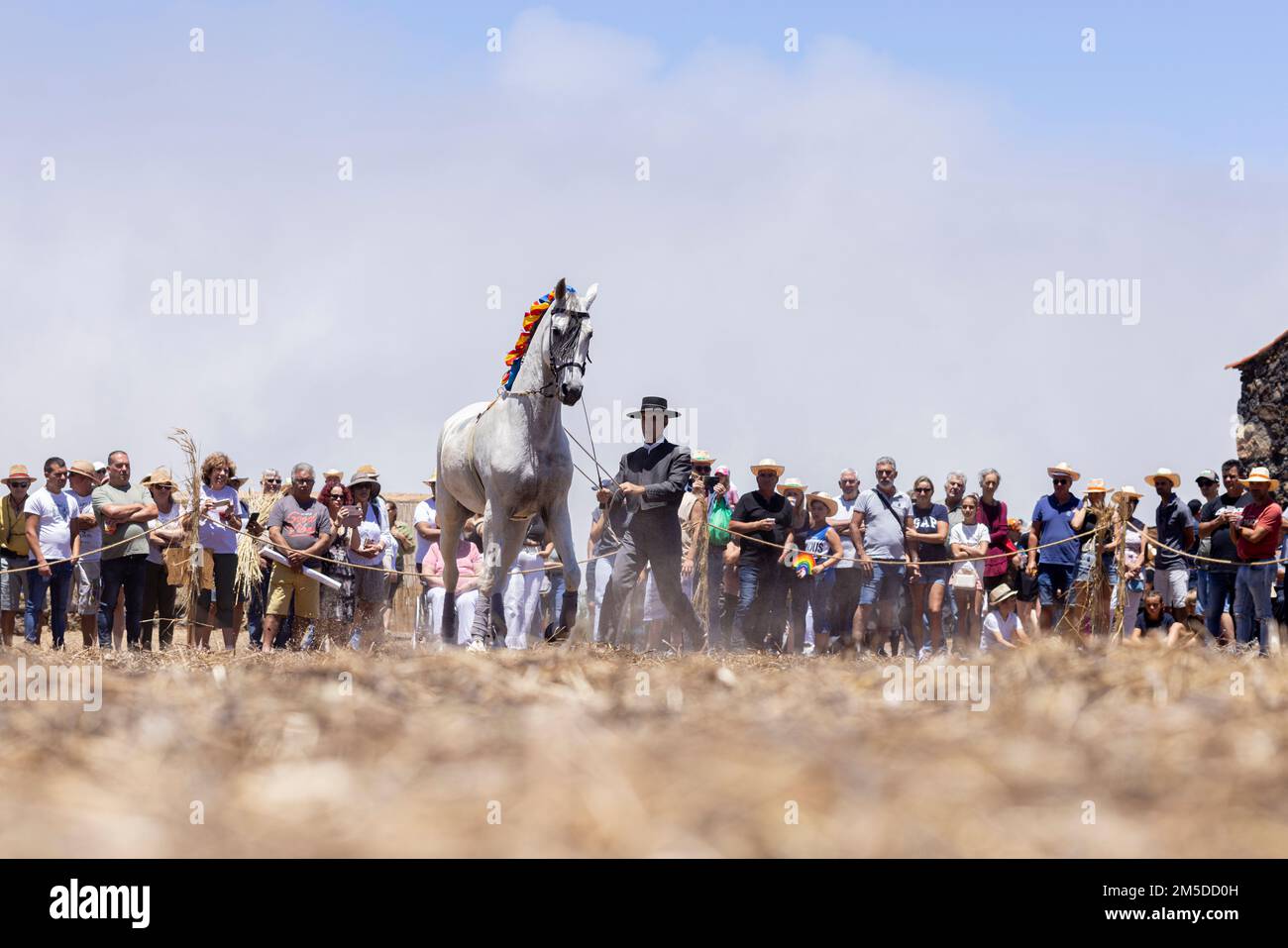 Andalucian horseman giving a display of traditional horsemanship and ...
