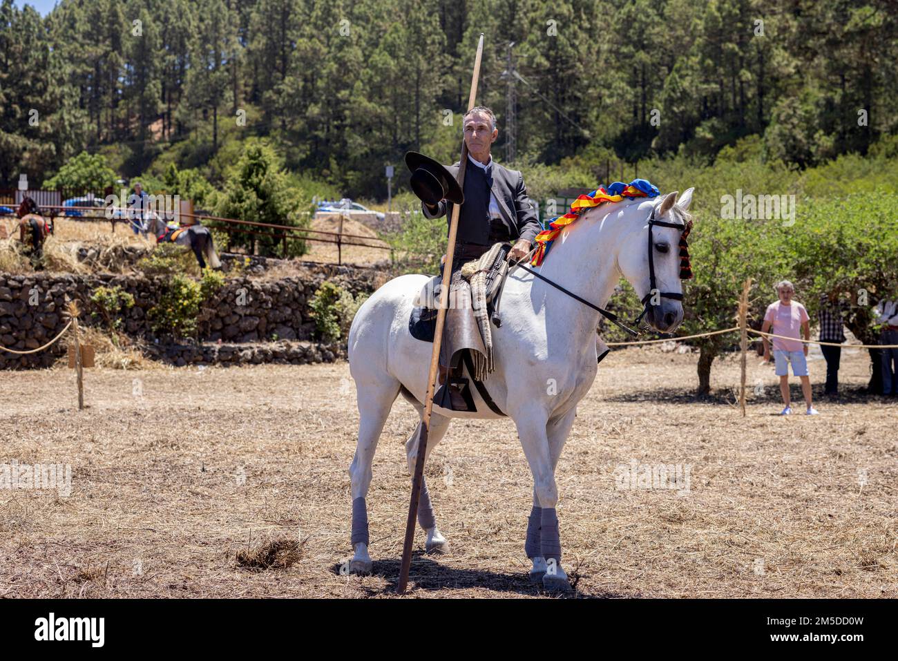 Andalucian horseman giving a display of traditional horsemanship and ...