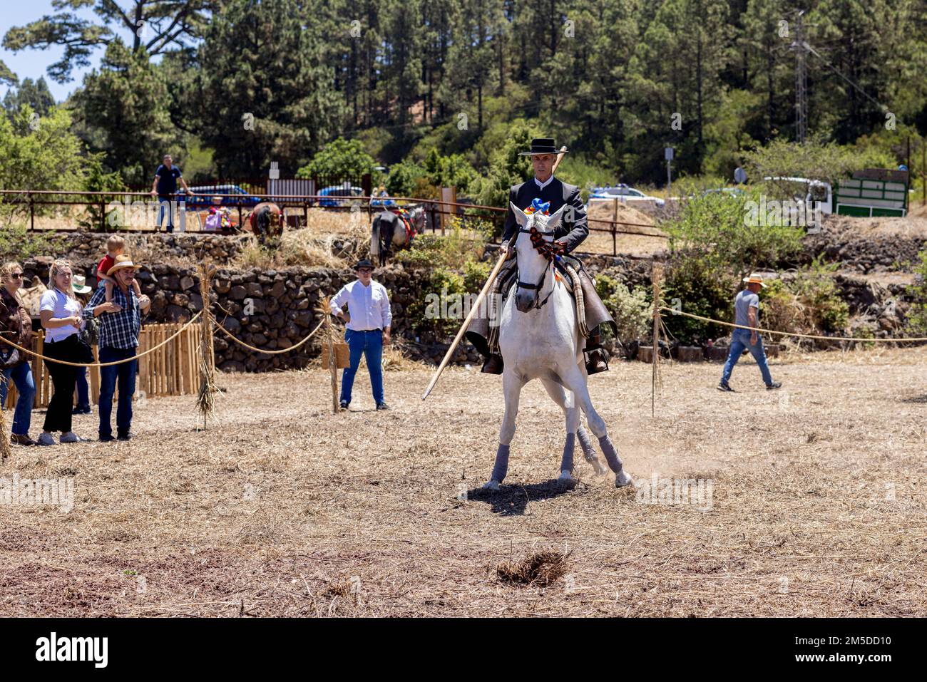 Andalucian horseman giving a display of traditional horsemanship and ...