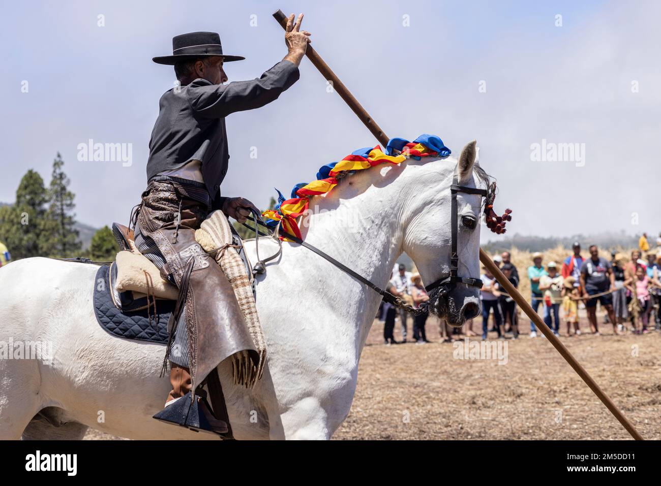 Andalucian horseman giving a display of traditional horsemanship and ...