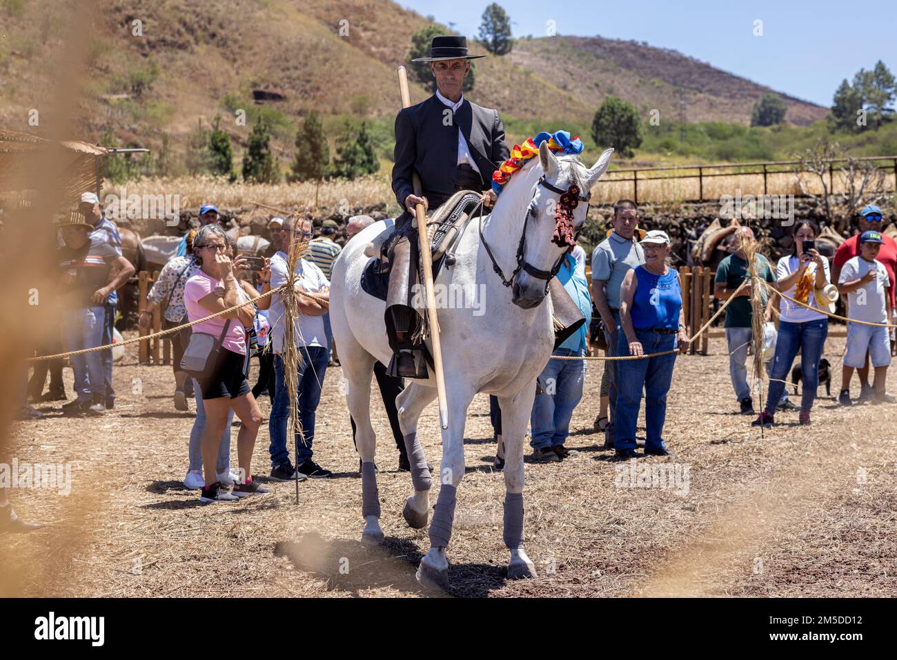 Andalucian horseman giving a display of traditional horsemanship and ...