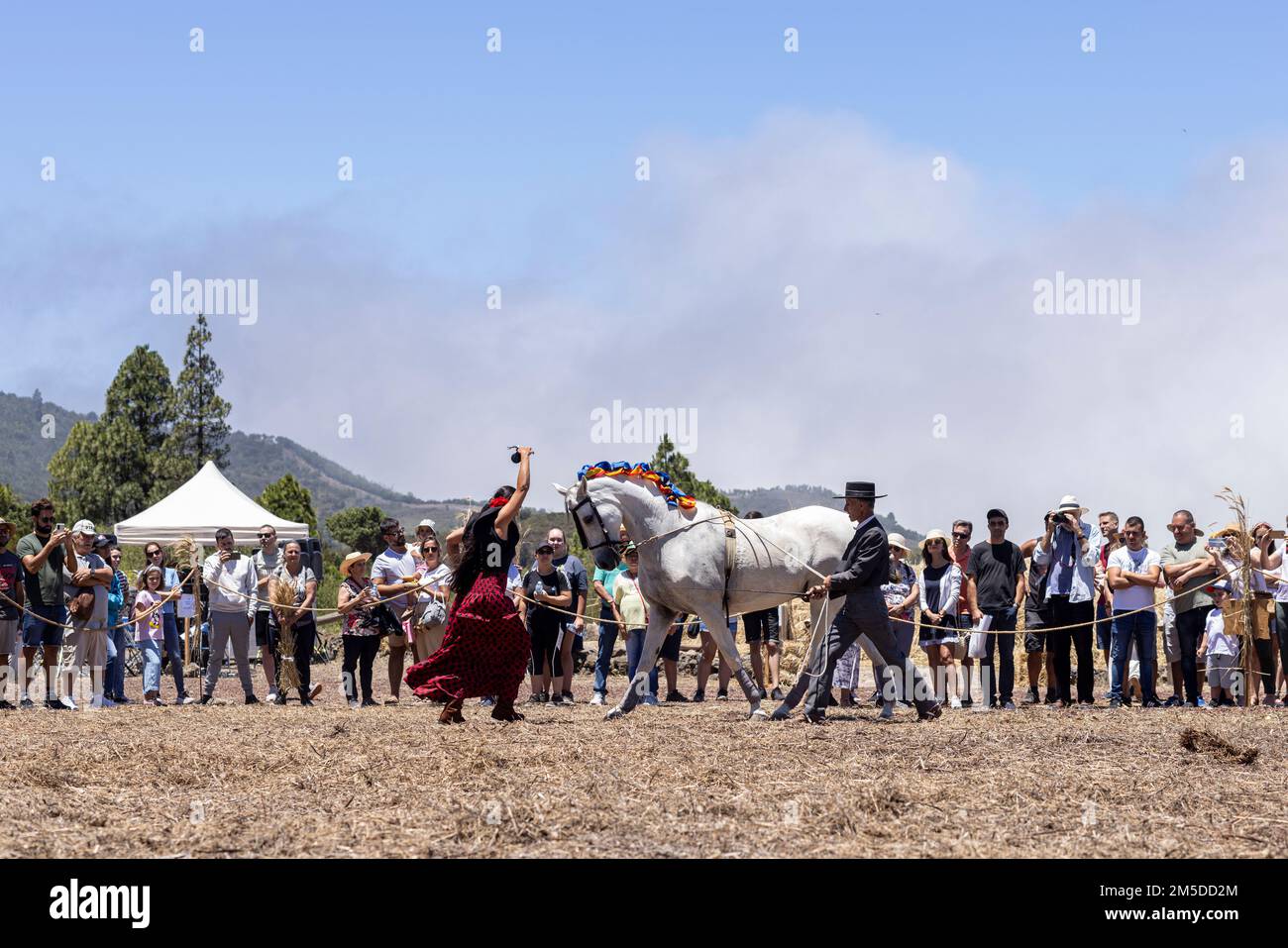 Andalucian horseman giving a display of traditional horsemanship and ...