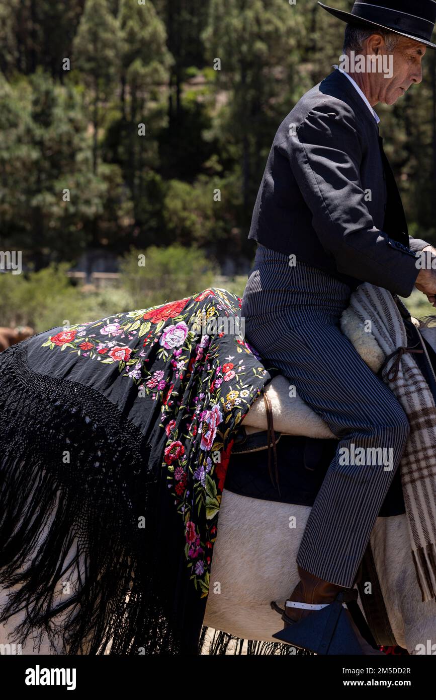 Andalucian horseman giving a display of traditional horsemanship and ...